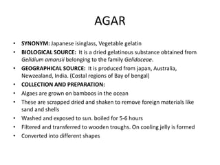 Carbohydrates | PPTX