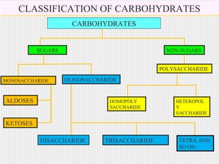 Carbohydrates | PPT | Chemistry | Science