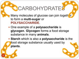 Carbohydrates | PPTX | Chemistry | Science