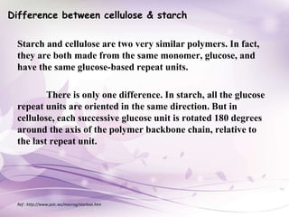 Carbohydrates | PPTX