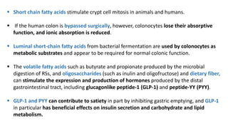 Carbohydrates (Modern Nutrition in Health & Disease 11th edition Book ...