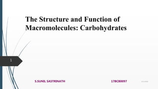 Carbohydrates | PPT