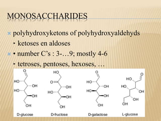 Carbohydrates | PPTX