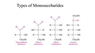 Carbohydrates | PPTX
