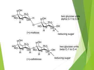 Maltose Chair Conformation