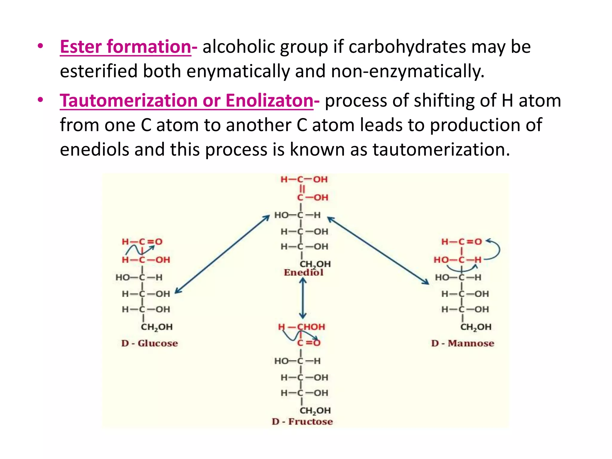 Carbohydrates | PPTX