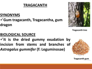 Carbohydrates (B PHARM-4TH SEM) | PPTX
