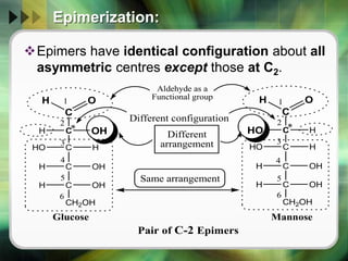 CARBOHYDRATES | PPT