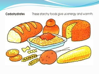 Carbohydrates | PPTX