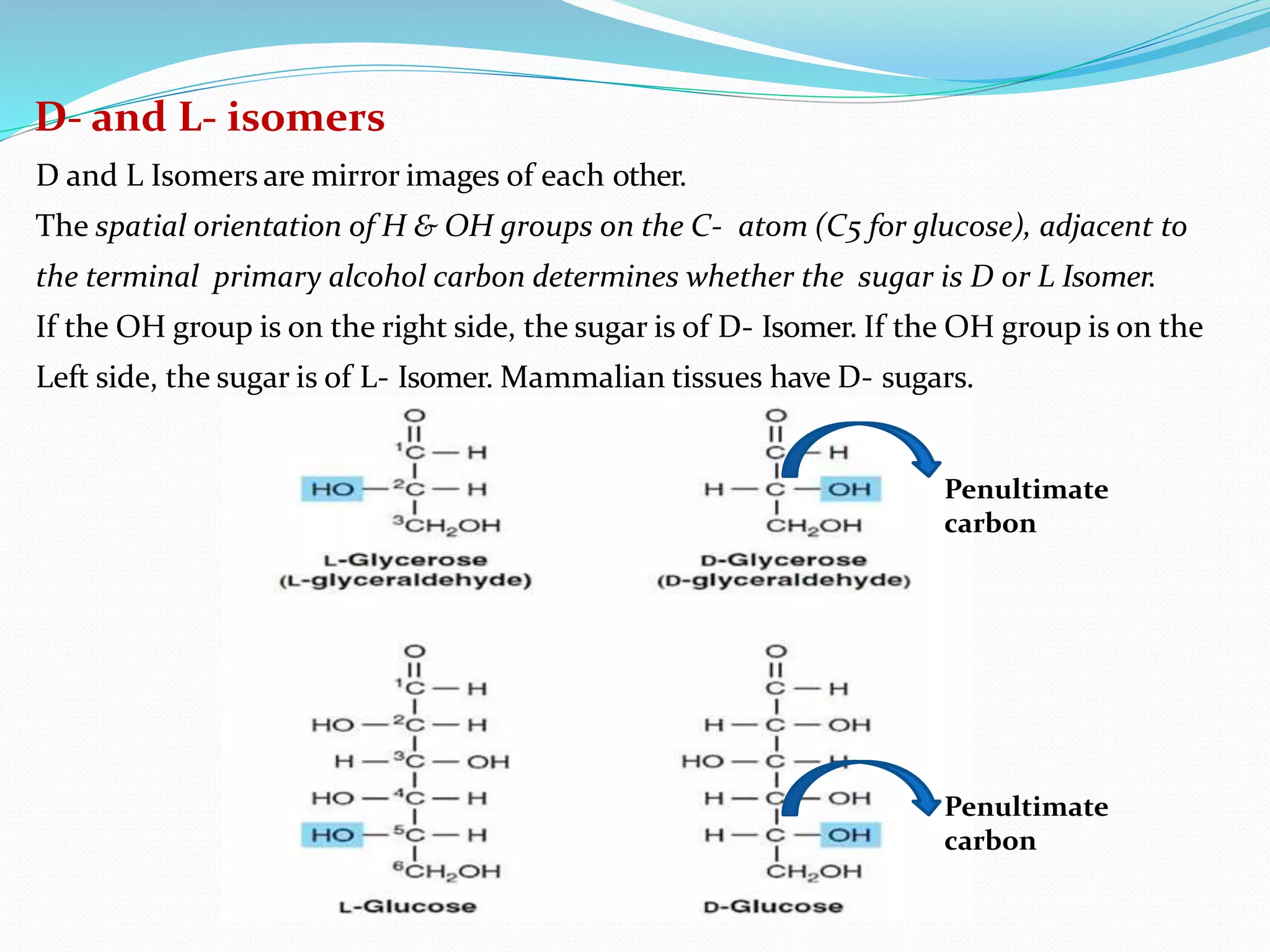 Introduction to Carbohydrates and its Chemistry | PPTX