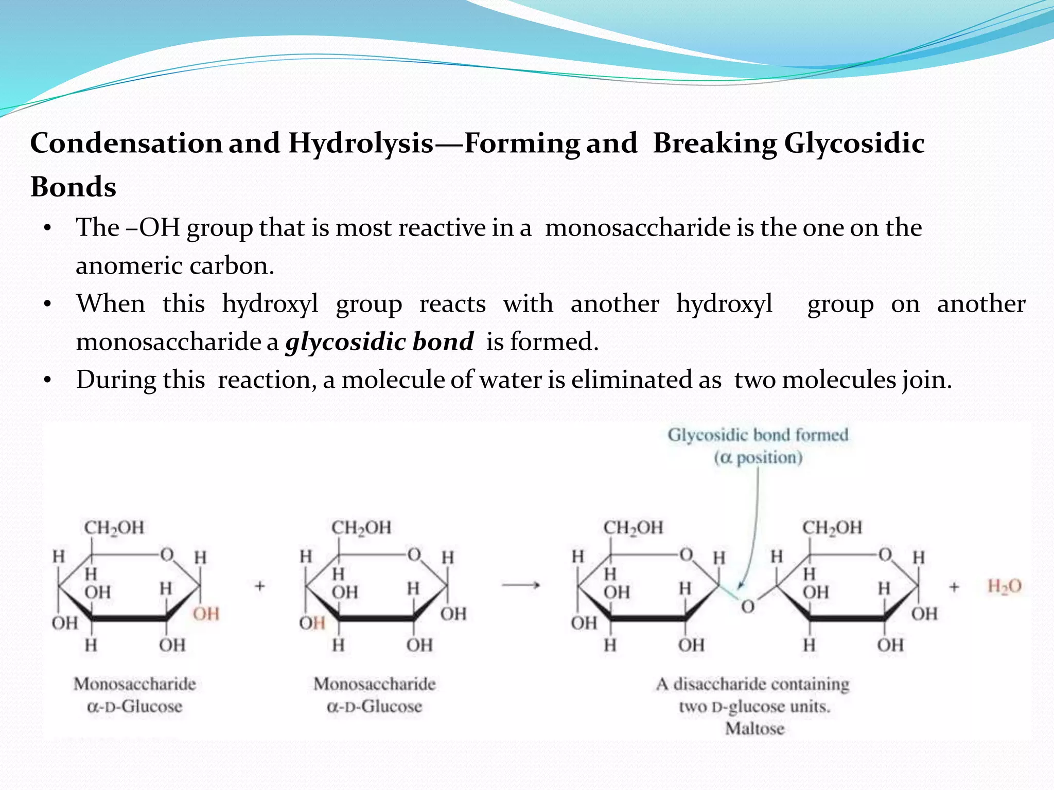 Introduction to Carbohydrates and its Chemistry | PPTX