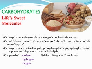Introduction to Carbohydrates and its Chemistry | PPTX