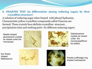 Introduction to Carbohydrates and its Chemistry | PPTX