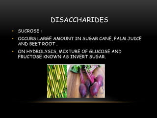 Carbohydrates IN FOOD | PPTX