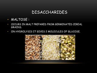 Disaccharides Foods