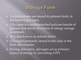 Carbohydrates | PPTX