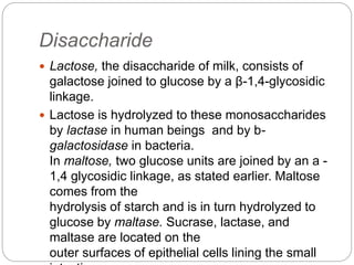Carbohydrates | PPTX