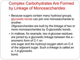 Carbohydrates | PPTX