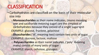 Carbohydrates | PPT