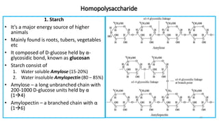 Carbohydrates | PPT