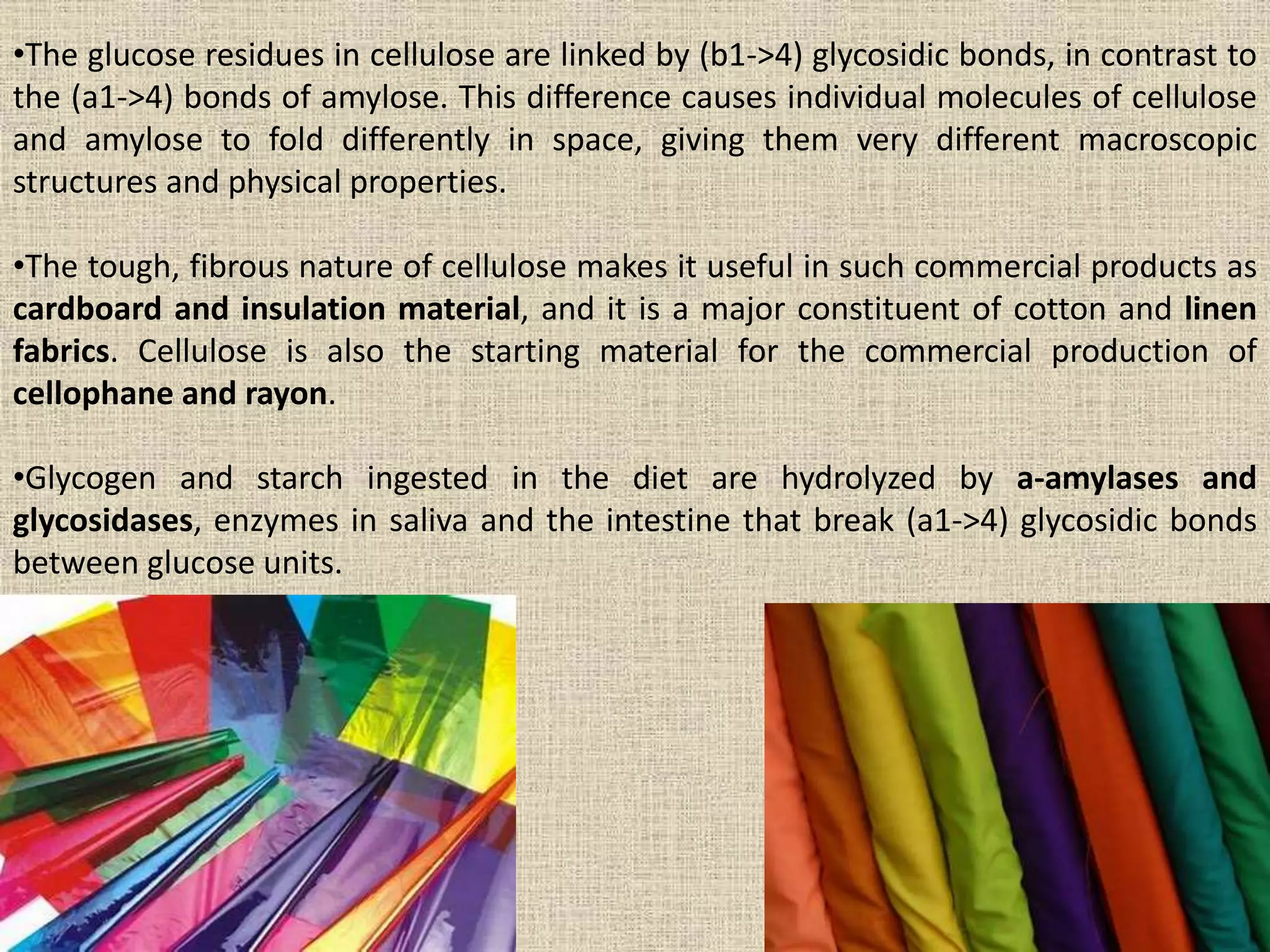 Carbohydrates | PPTX