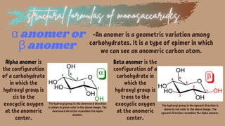Carbohydrates | PPT