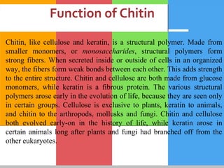 Carbohydrates | PPTX
