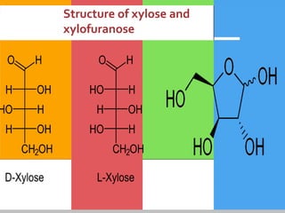 Carbohydrates | PPTX