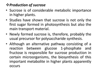 Carbohydrates- classification, identification and biosynthesis | PPTX