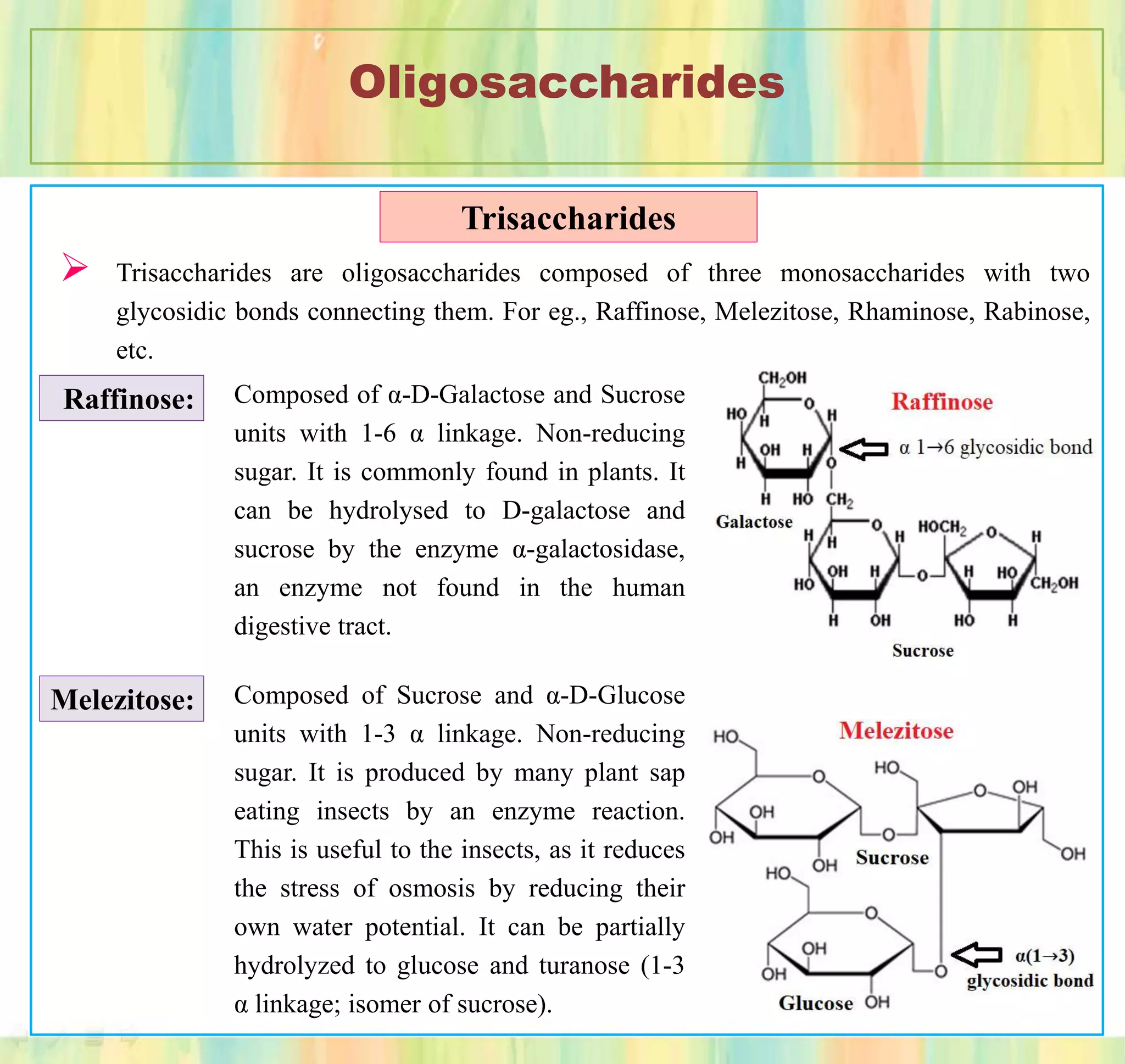 Carbohydrates: Part 1 | PPTX