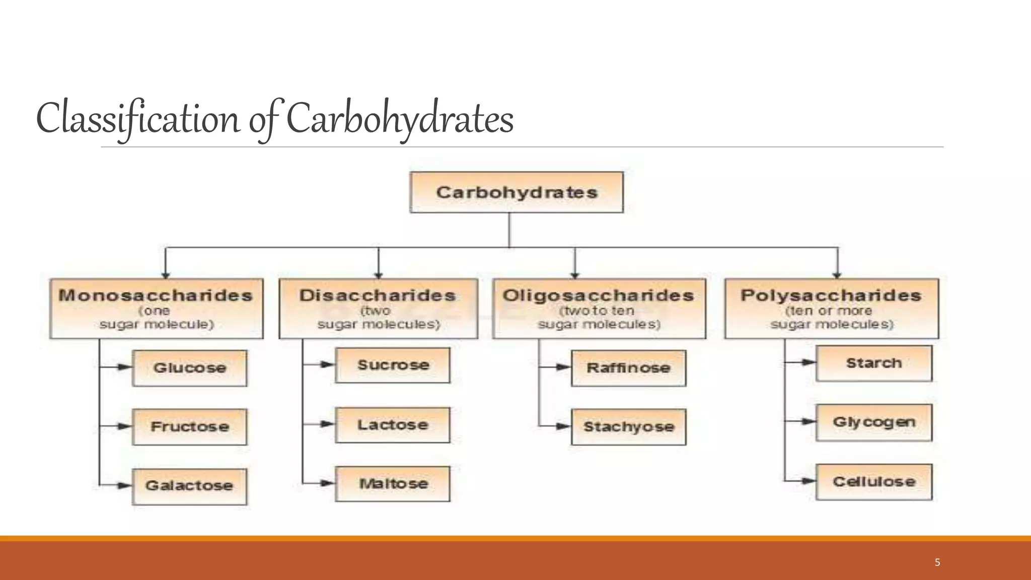 Carbohydrates-Structure of carbohydrates, Types of CBH, Properties, and ...