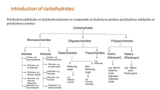 Carbohydrates | PPT