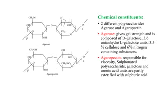 Carbohydrates | PPTX