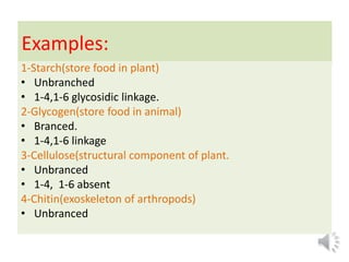 Carbohydrates | PPTX