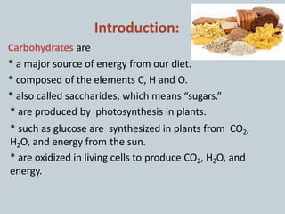 Carbohydrates Definition