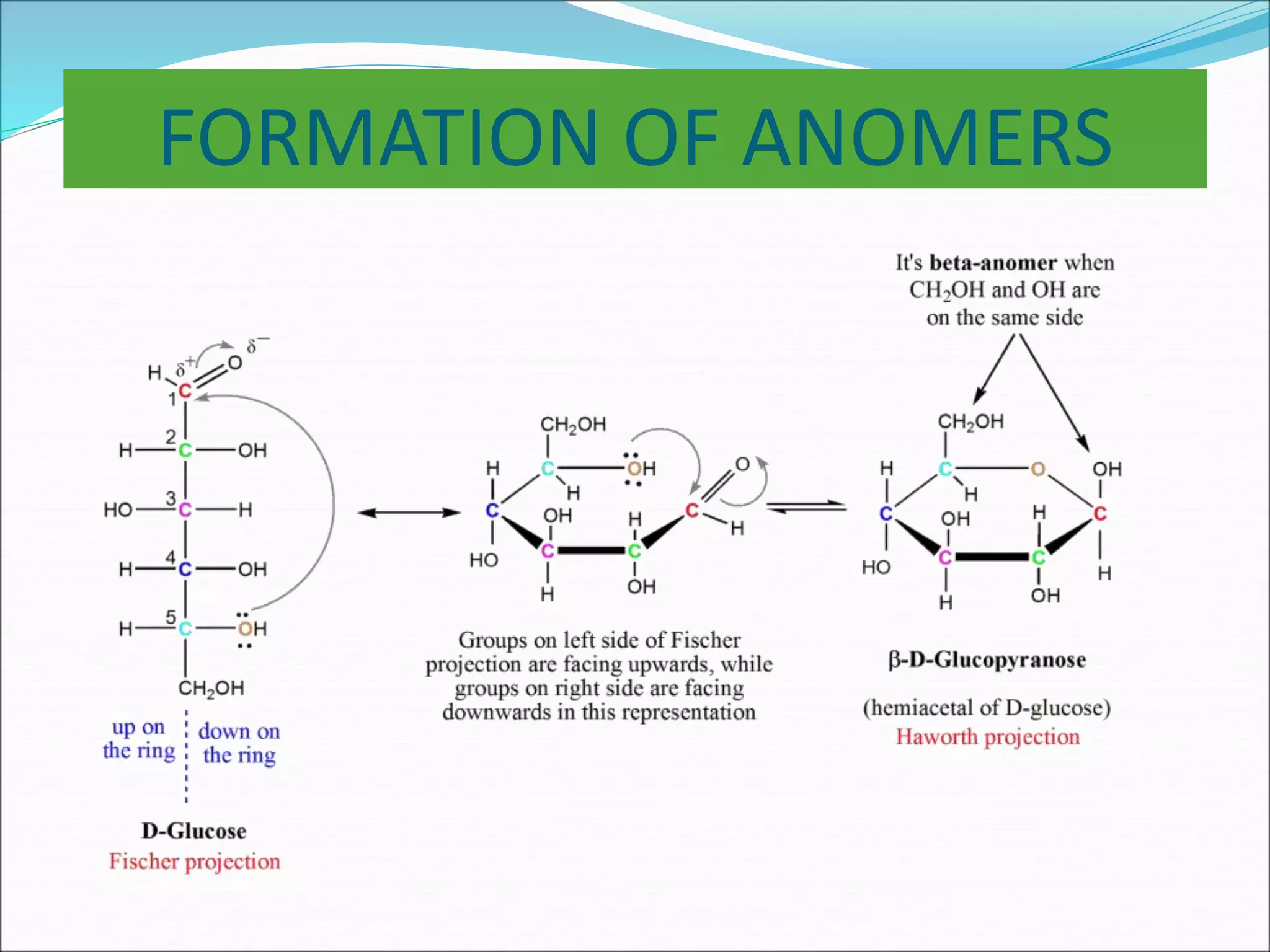 Carbohydrates | PPT