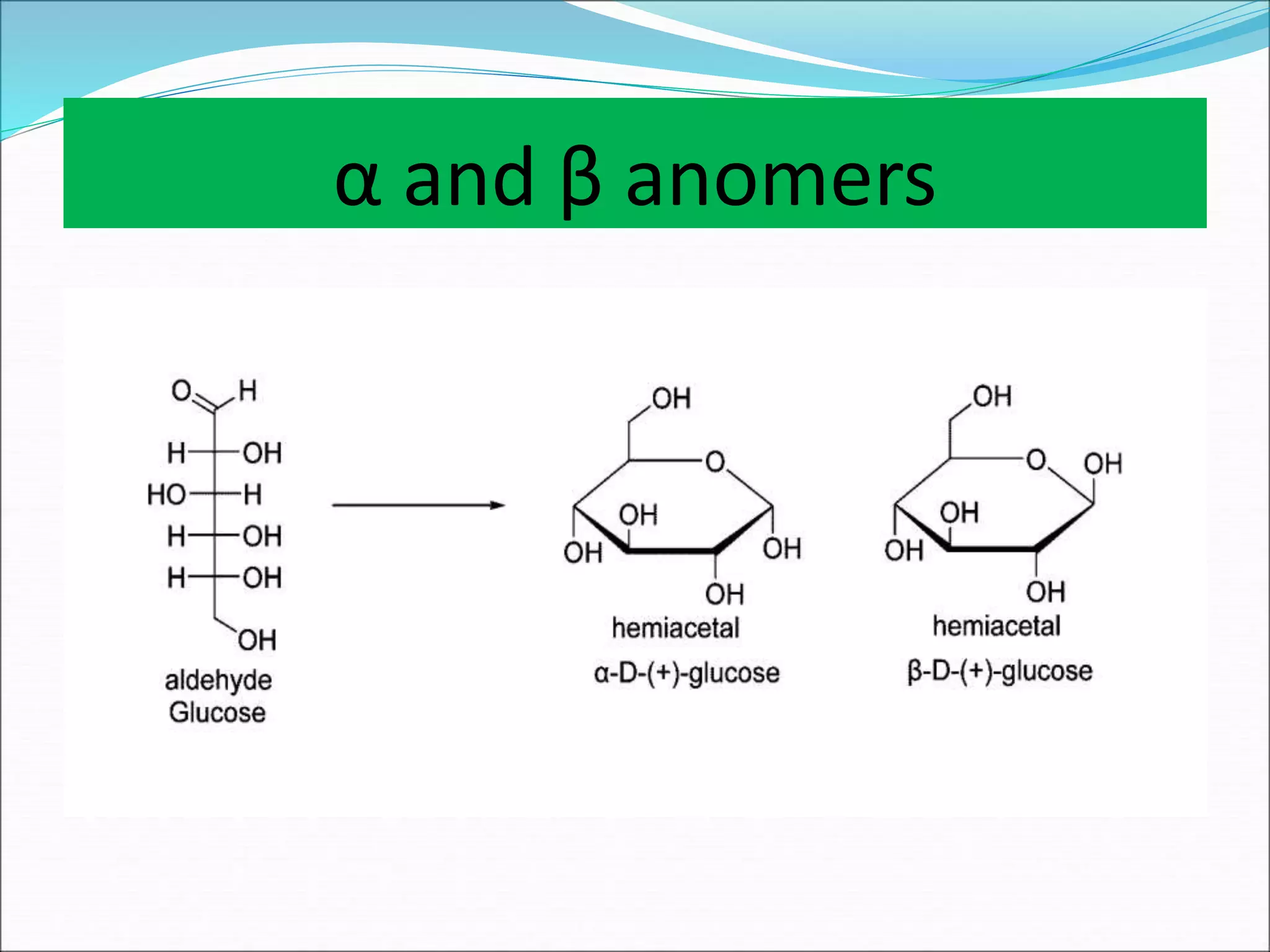 Carbohydrates | PPT