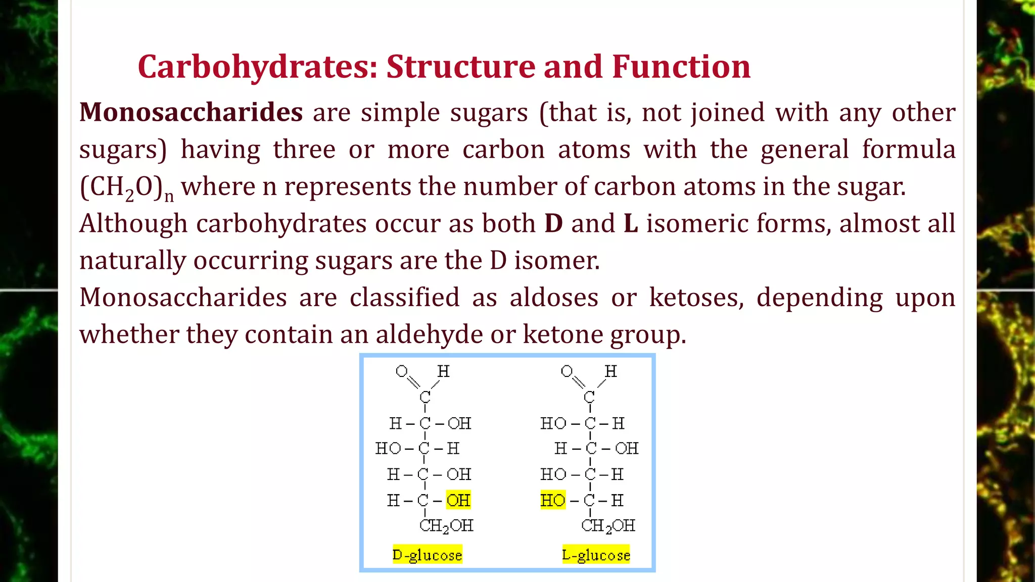 Carbohydrates | PPT
