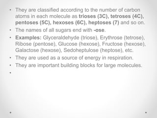 Carbohydrates | PPTX