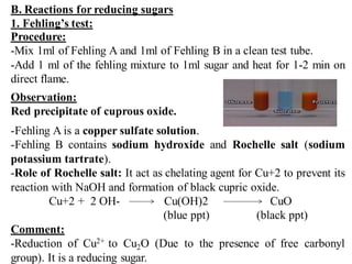 carbohydrates.pdf
