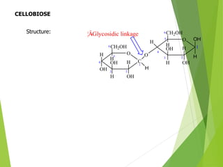 Carbohydrates.pdf | Chemistry | Science