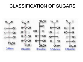 Carbohydrates.pptx