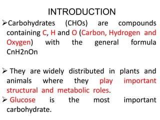 Carbohydrates.pptx