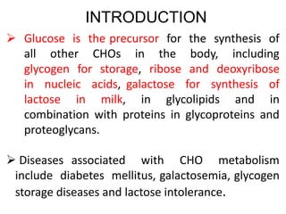 Carbohydrates.pptx