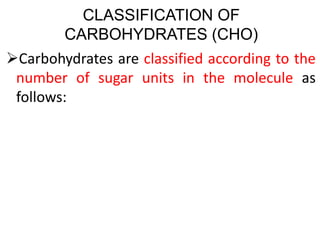 Carbohydrates.pptx