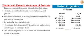 Carbohydrates.pptx