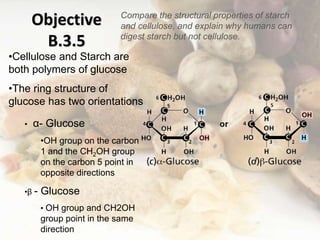 Carbohydrates.ppt