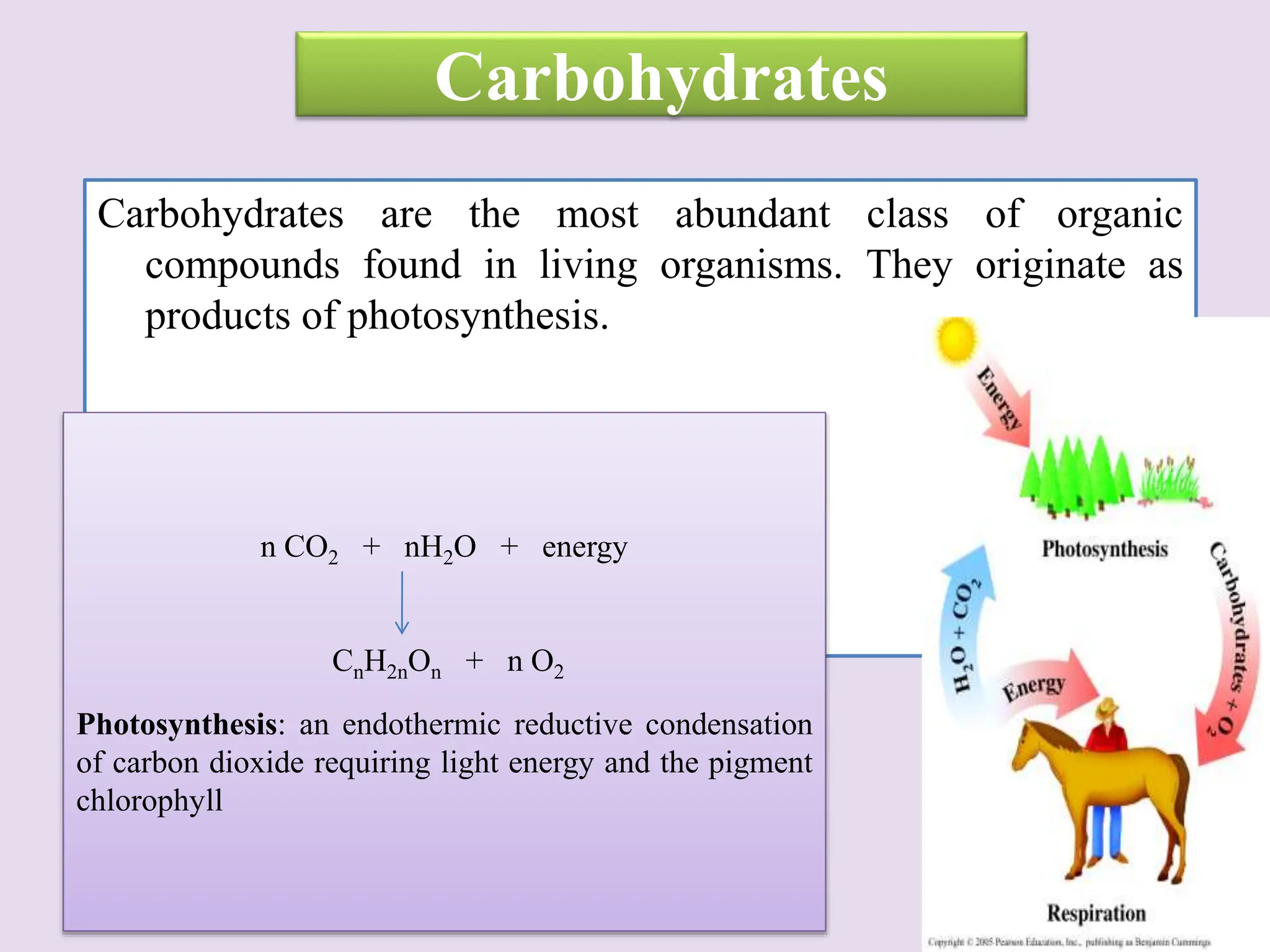 CARBOHYDRATES.pptx