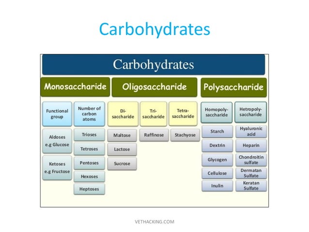 CARBOHYDRATES in animals uses and functions.pdf | Chemistry | Science