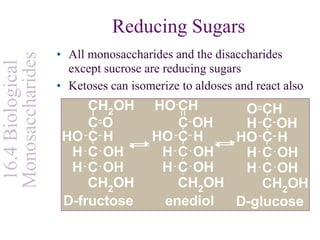 Carbohydrates, structure, functions and kinds | PPT
